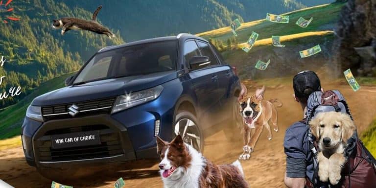 Win a Car | 20 Best Competitions to Win a Car